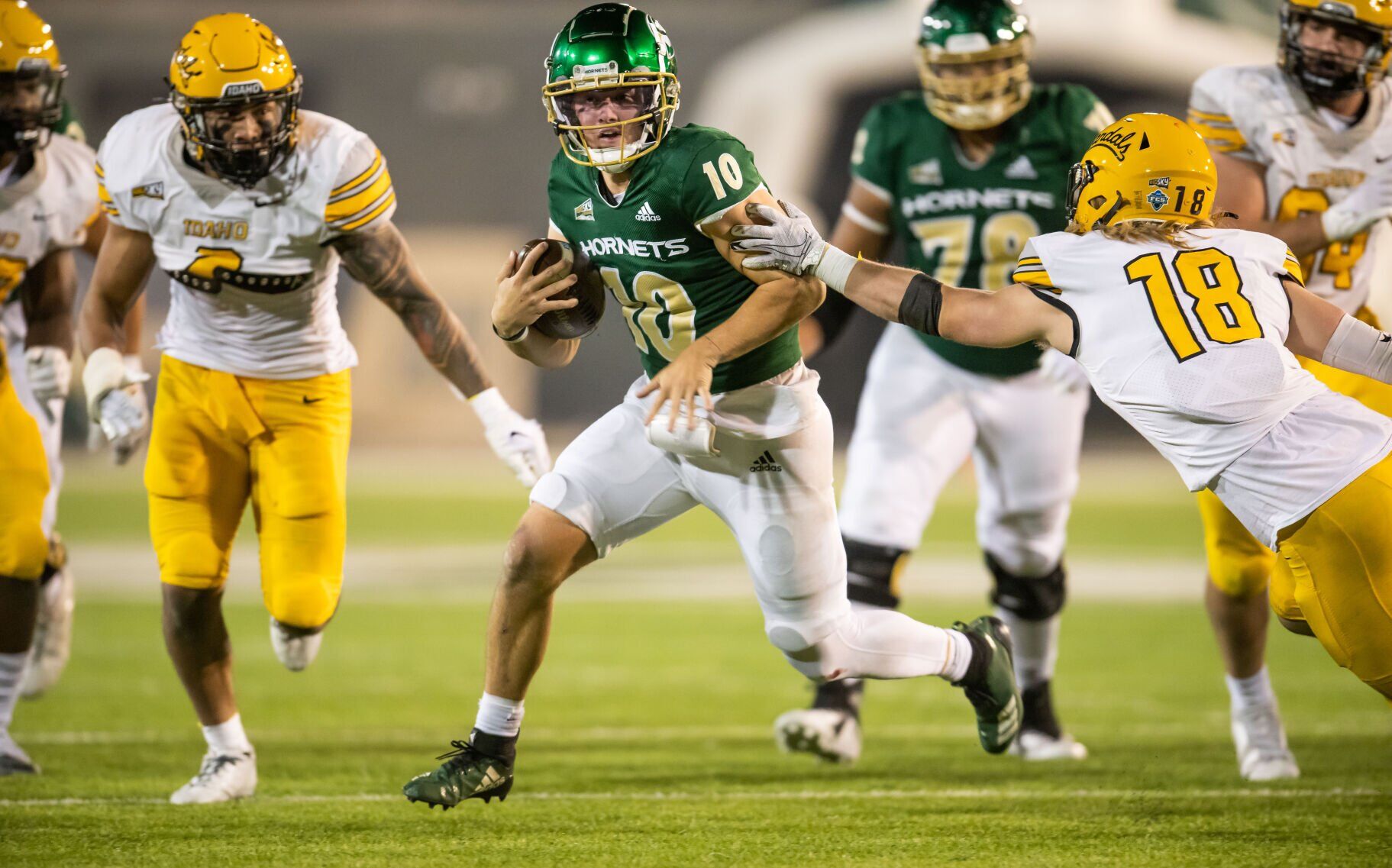 Vandals stung on the road