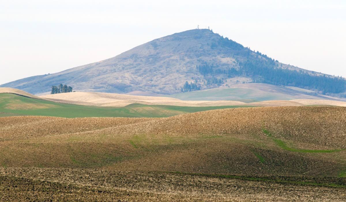 More Steptoe Butte land now publicly owned