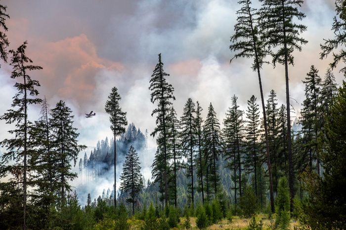 Deary fire at 77 acres