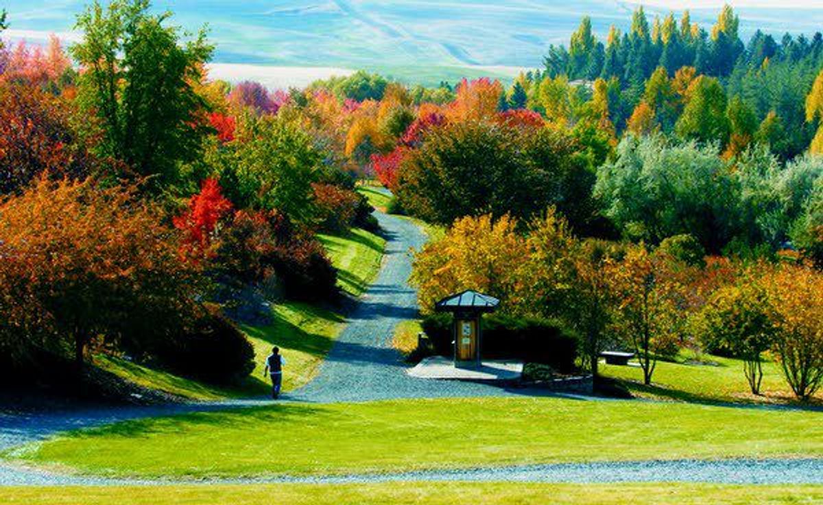 Knitting the old UI arboretum with the new