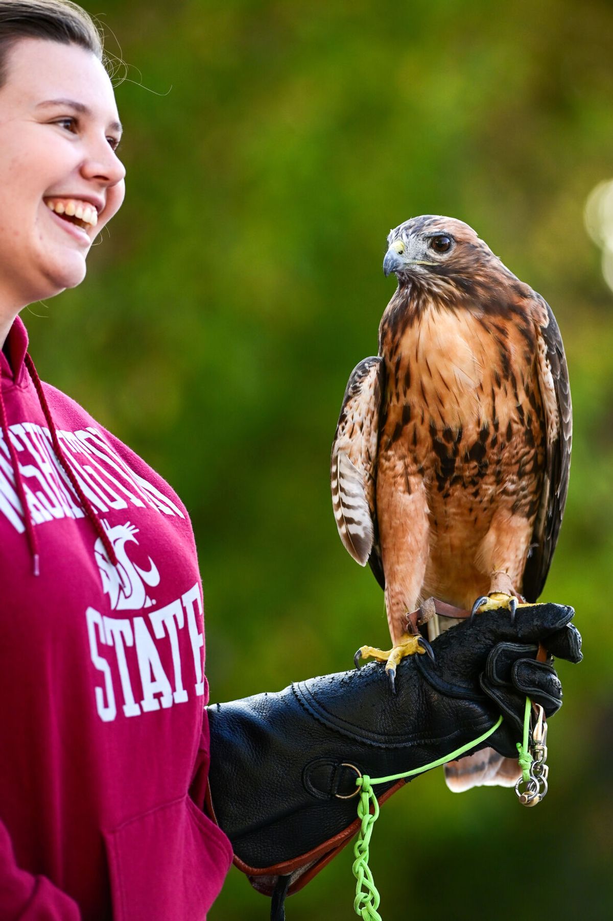 Photos: Caring for injured raptors