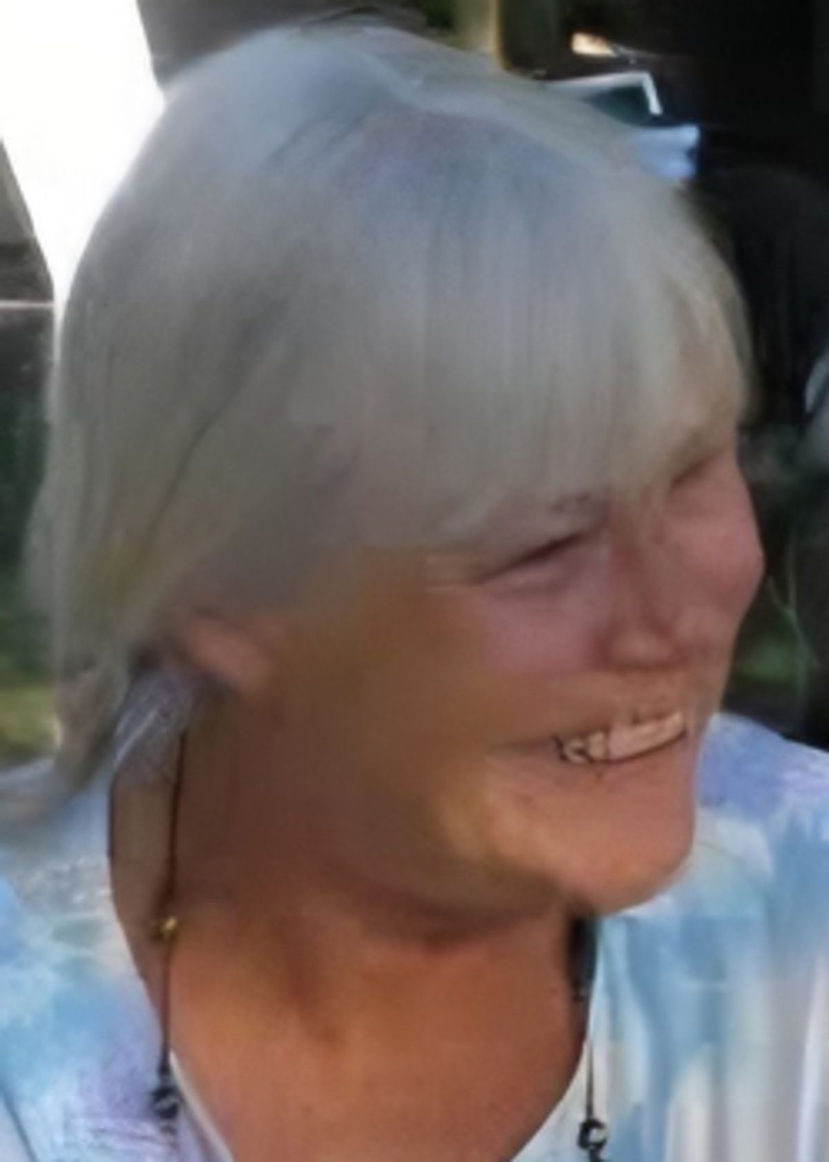 Dorothy Louise Wiley