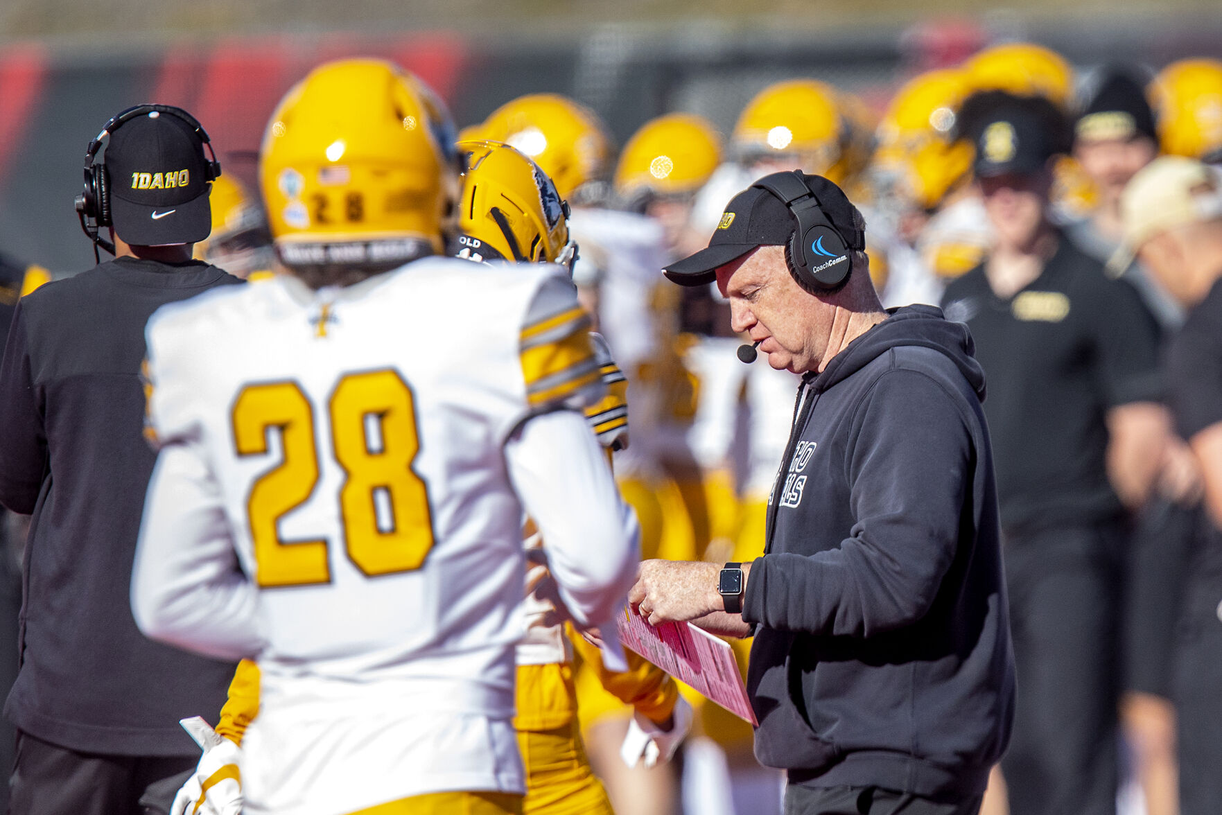 Keeping up with the Vandals