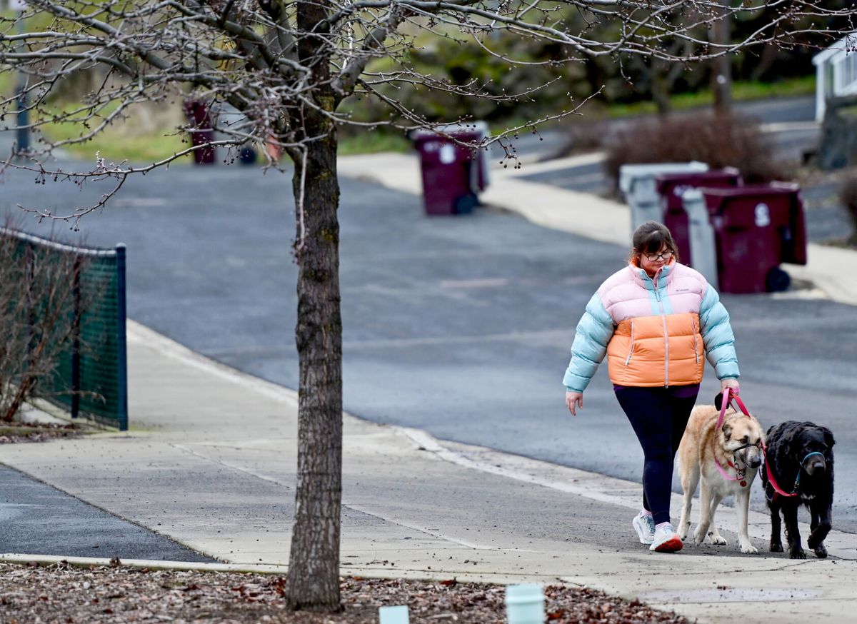 Pullman dog walk