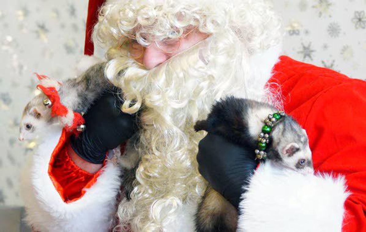 Featured Photos: Pets with Santa