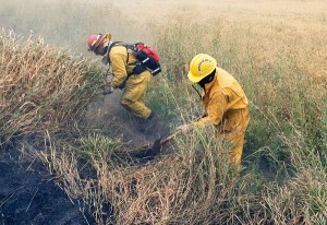 Wind-aided fire sweeps through the Palouse