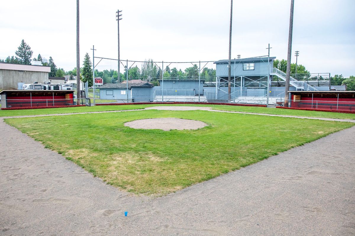 Bear Field back in action