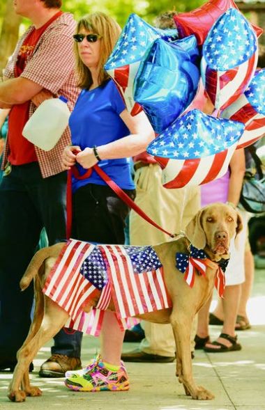 Mutt Strut poses 'ruff' competition