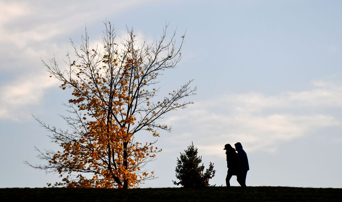 Photo: Trees and humans