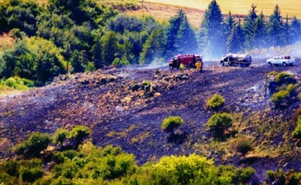 Brush fire: Crews put out fire that burned 50-100 acres outside Pullma...