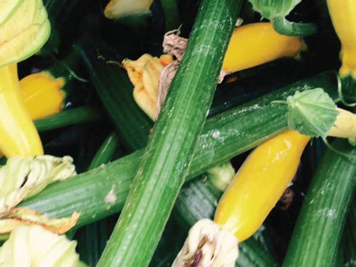 Midsummer gardening reminders