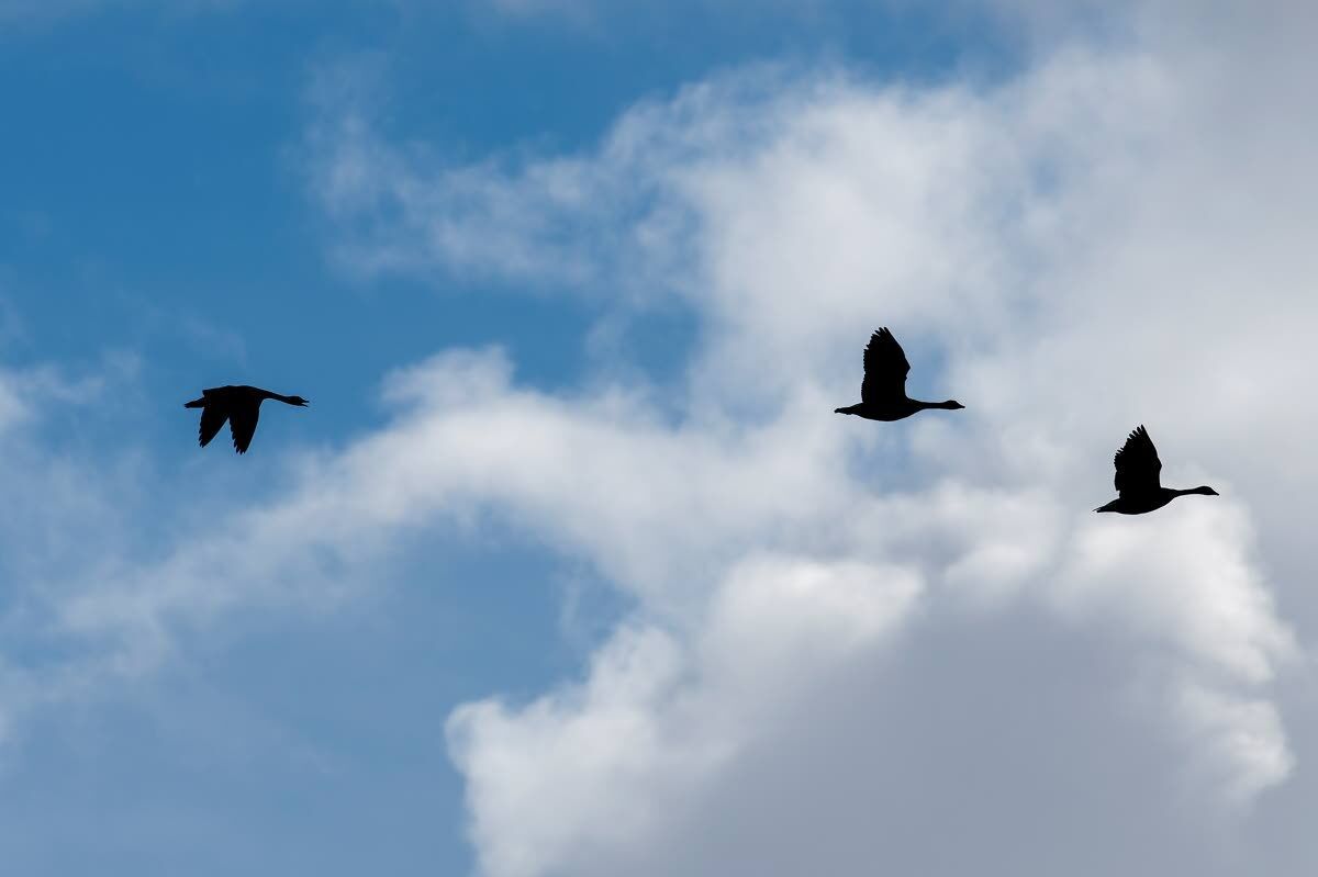 Good time for a flight