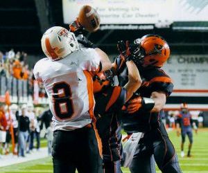 Troy's comeback bid falls short as Hagerman wins state