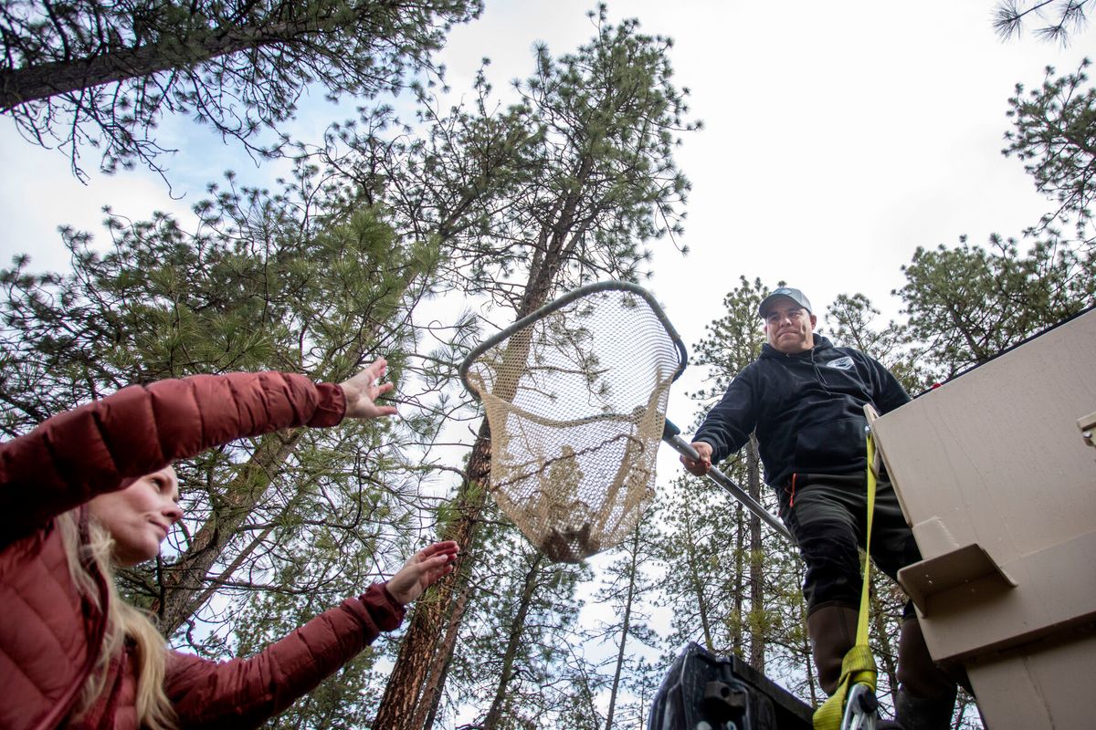 Feds pour support on tribal salmon effort