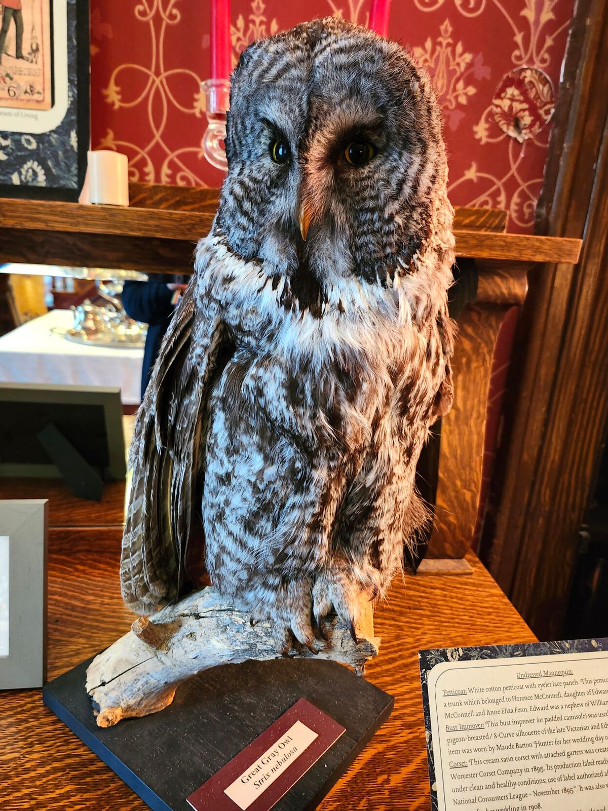 Pay a visit to those wacky Victorians