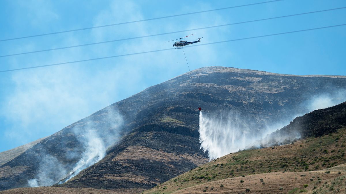 Snake River Fire at 686 acres, 0% contained