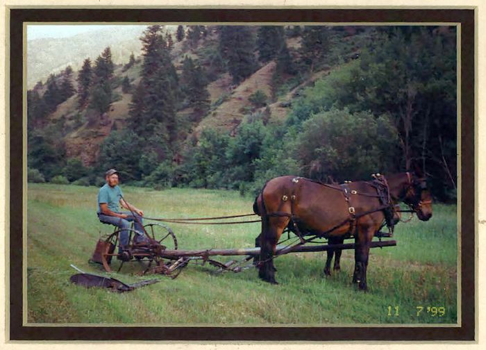 The many eras of the Taylor Wilderness Research Station