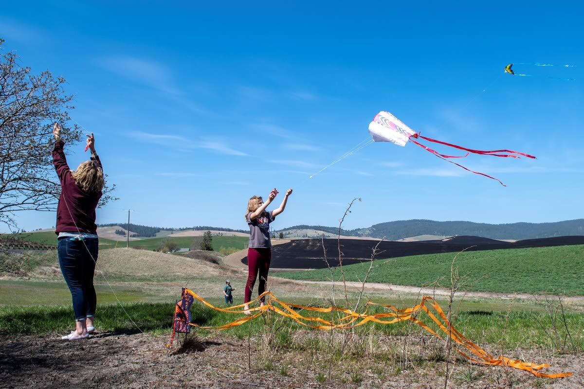 Kite adventures