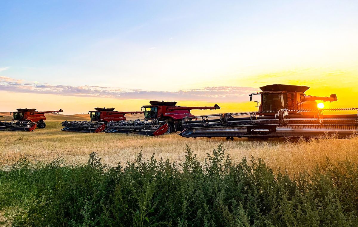 Reader Photo of the Day: Fall harvest