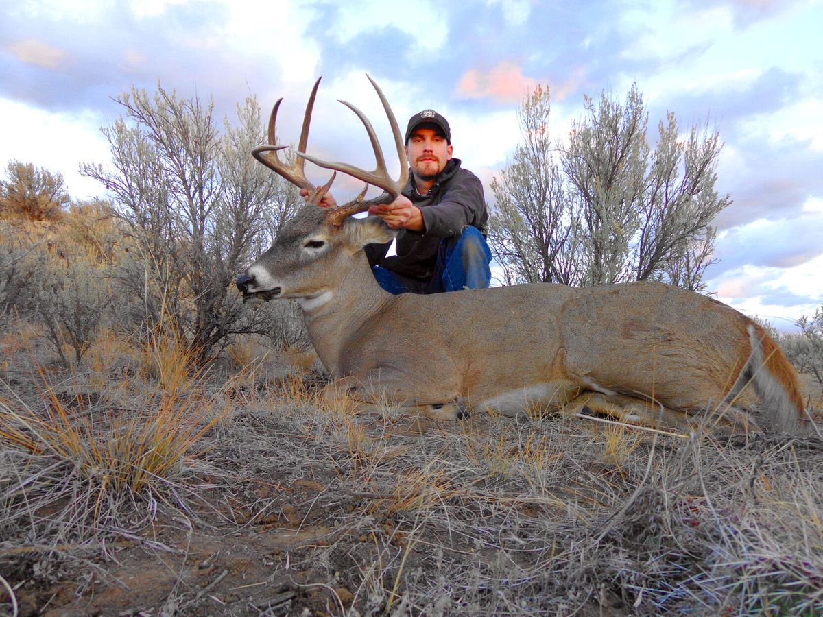 Whitetail management requires tough choices
