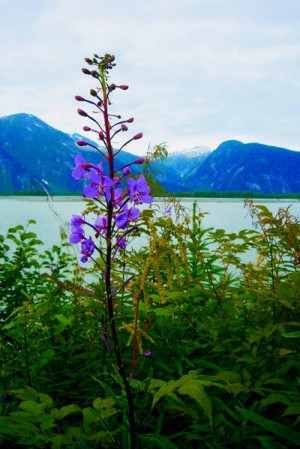 READER PHOTO OF THE DAY: Sept. 16