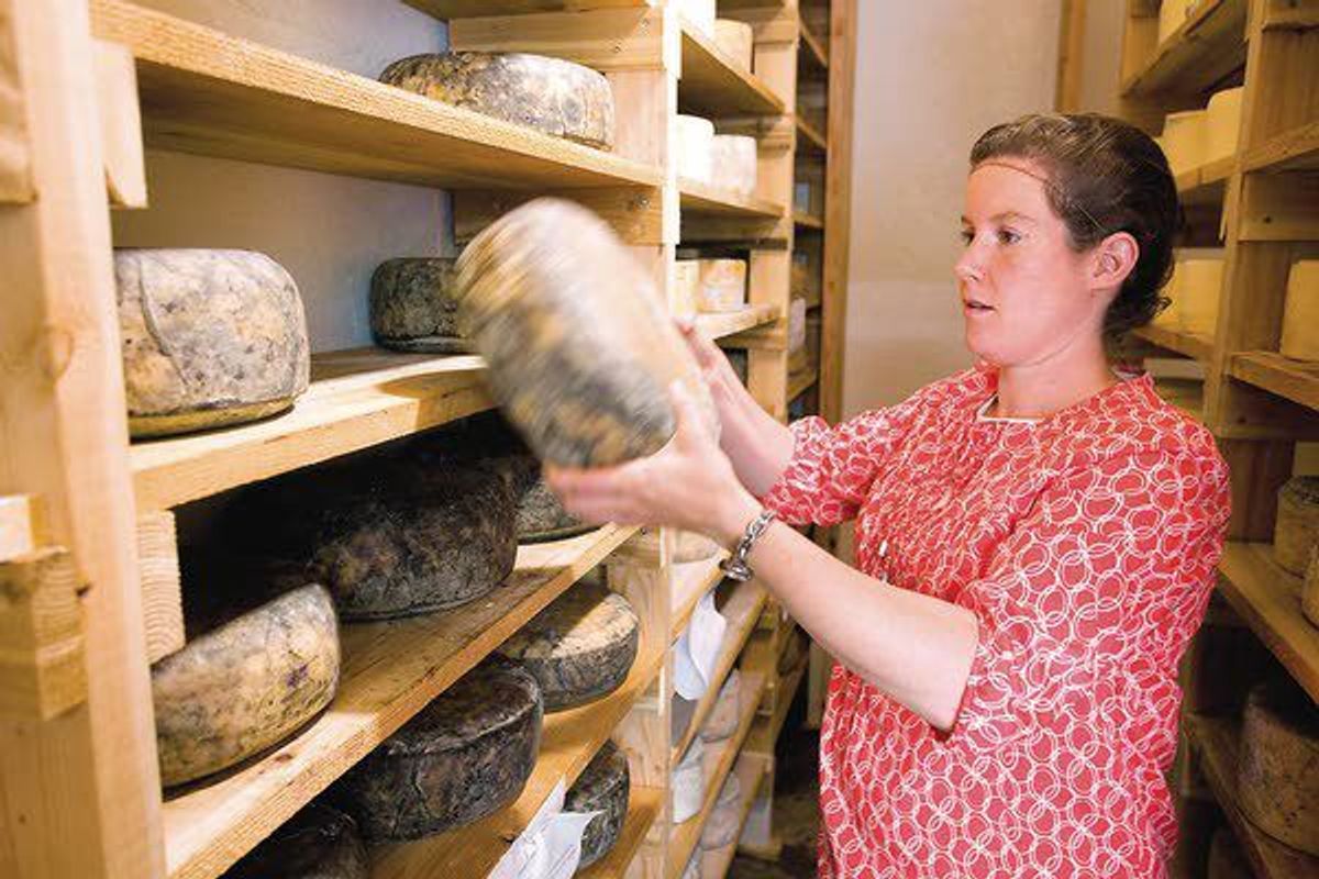 Creamery aims to boost Deary economy