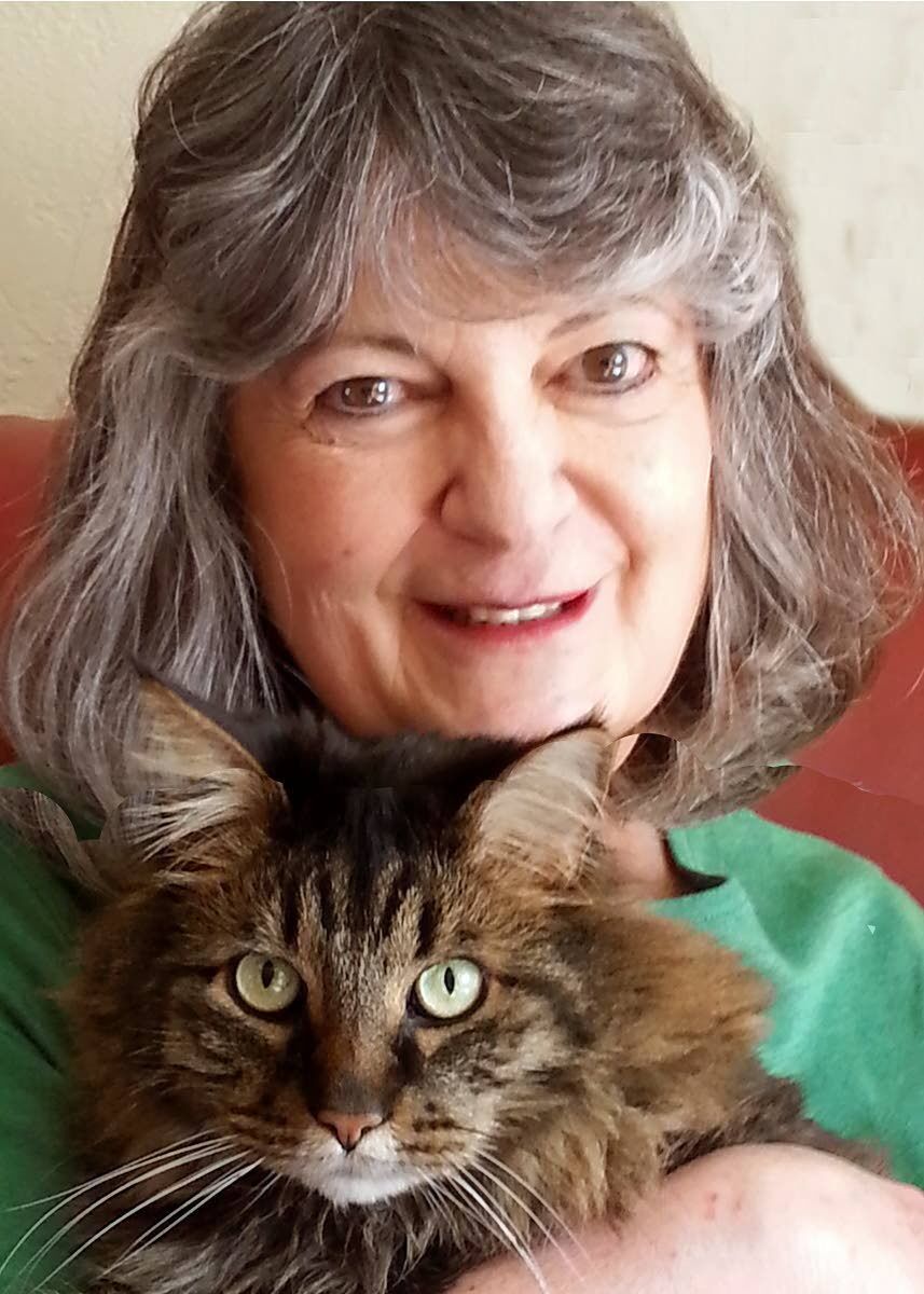 BadKitten and his buddy cast in real-life cat tale