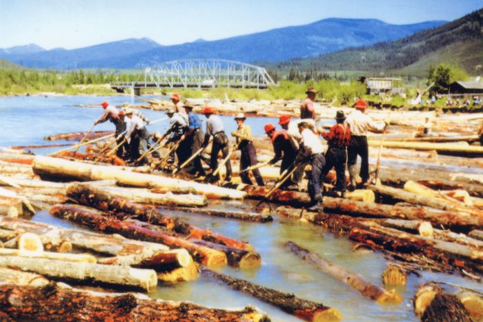 Chronicles of a North Idaho logging town