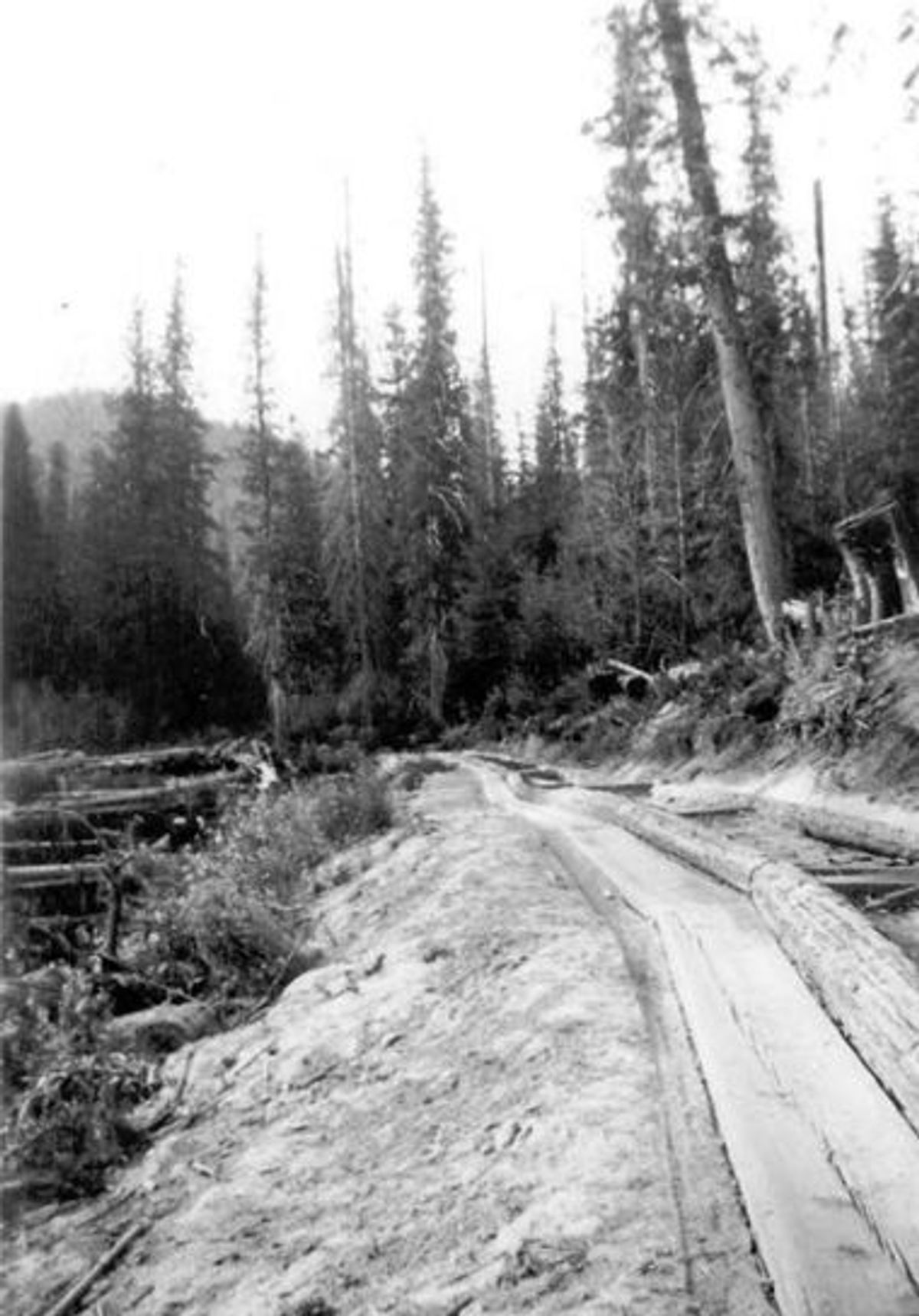 Picture of the Past, Corduroy road