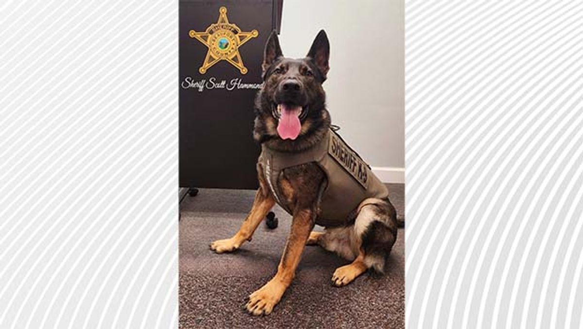 BCSO K9 Athos awarded "Healthcare for K9 Heroes" grant