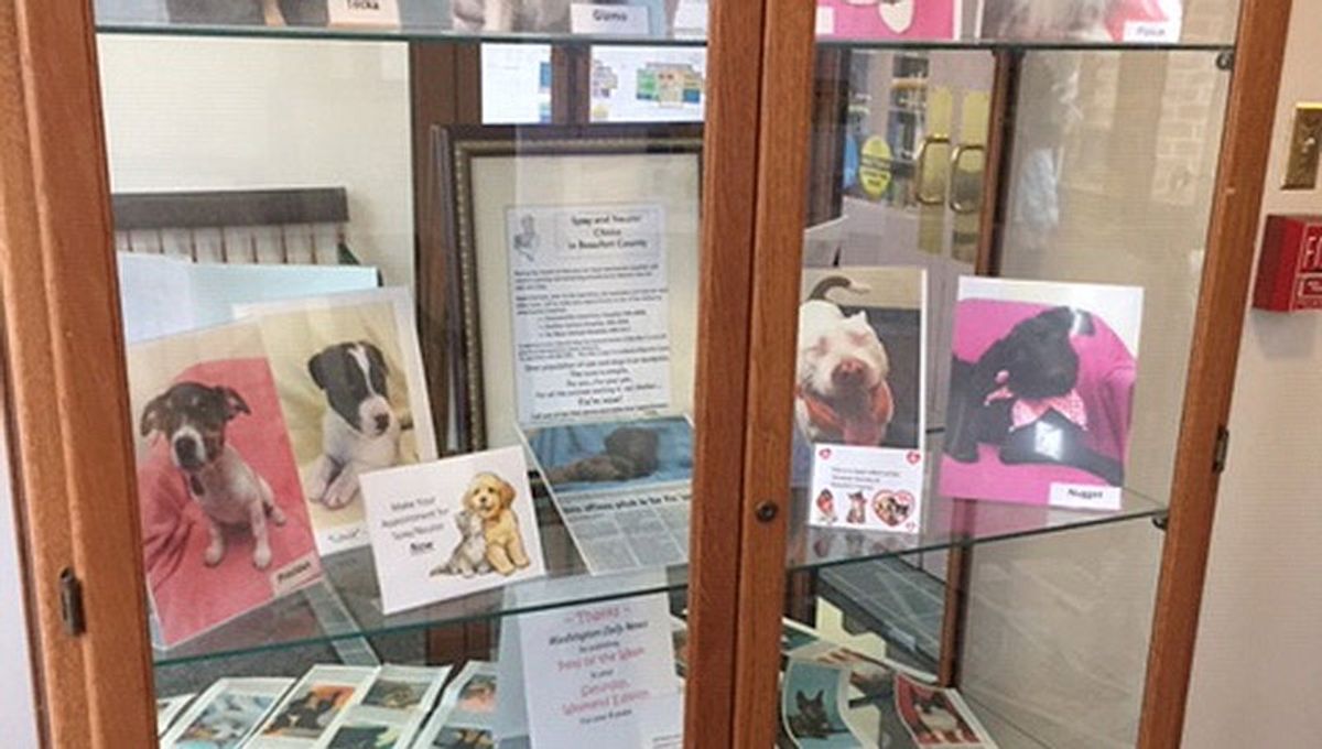 Display at library highlights Humane Society program