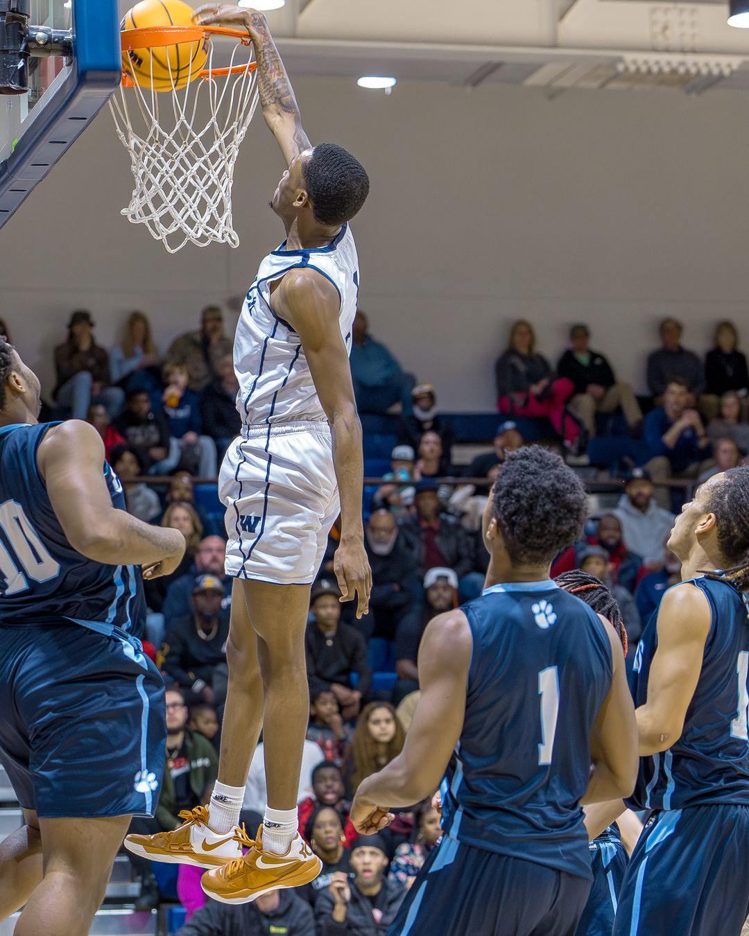 Hoop dreams: Pam Pack reach Class 4A regional final, play Sa...