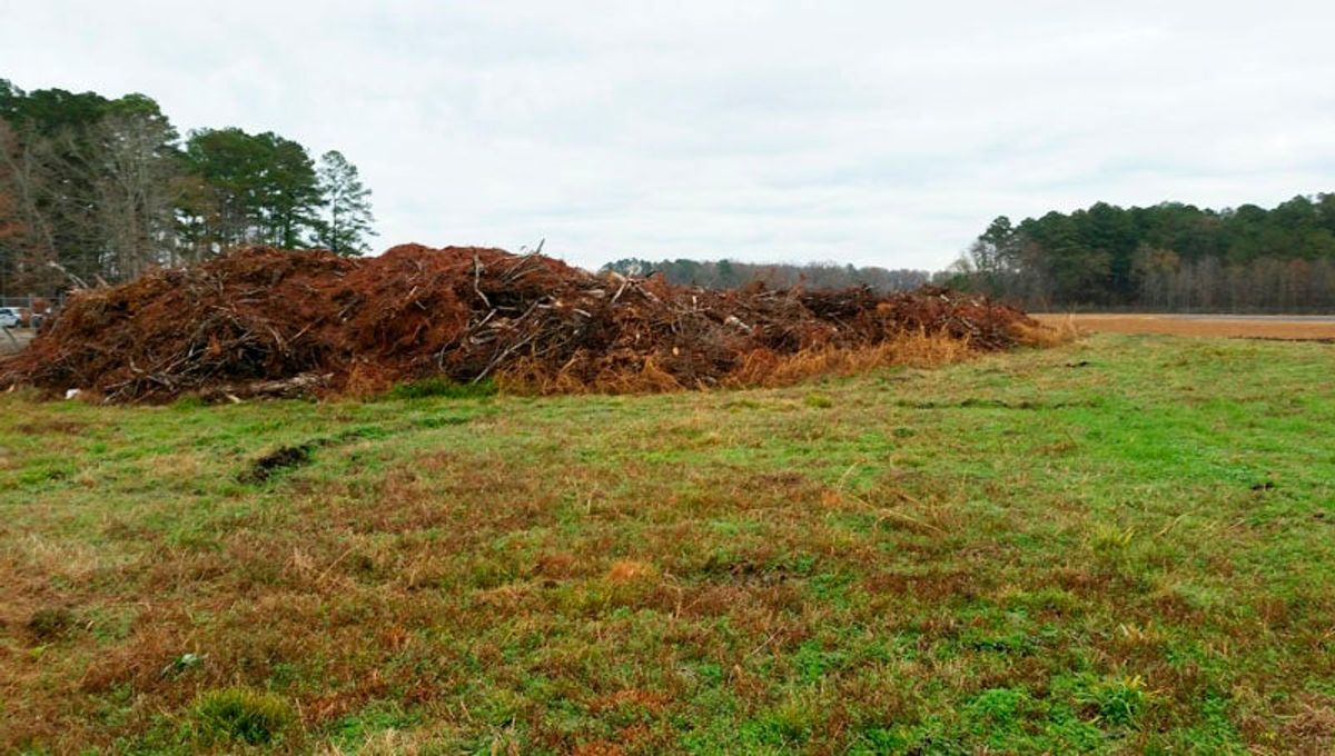 City hires contractor to handle storm debris