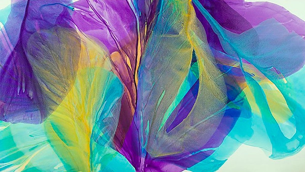 Lemonade welcomes abstract expressionist to roster