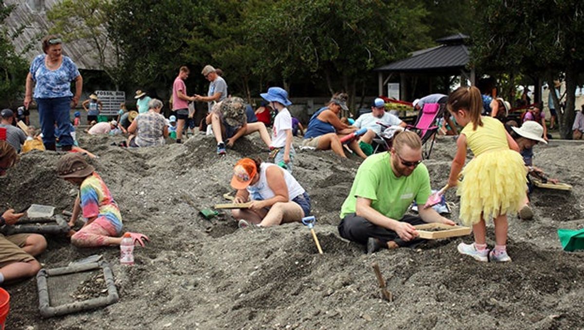 Have a dino-mite time at AFM's National Fossil Day celebration this we...