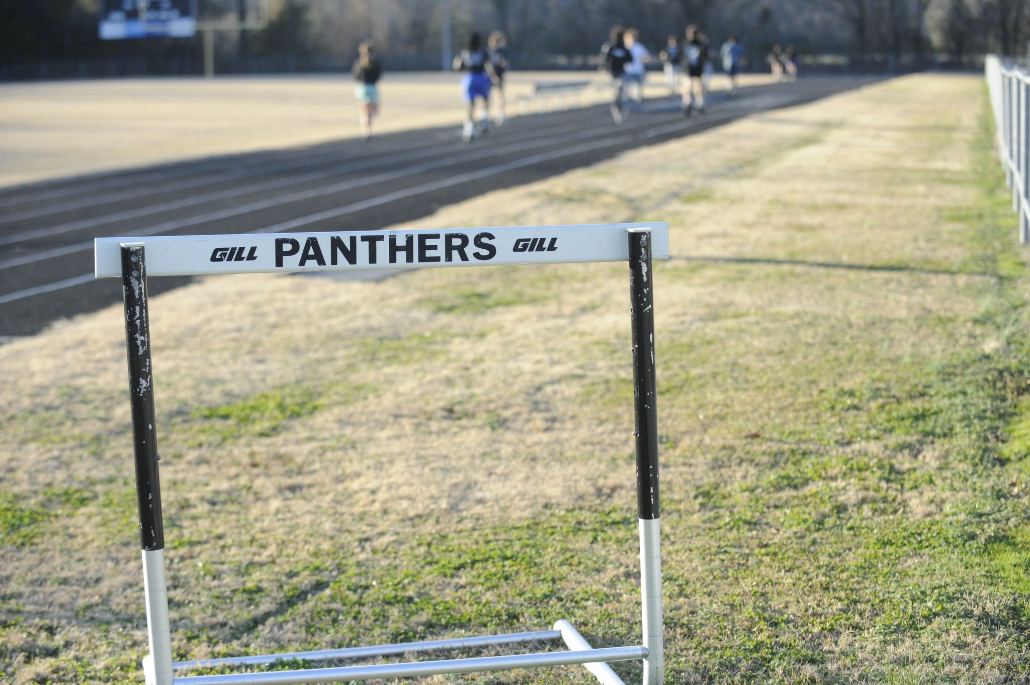 Going for gold: Panthers to take first-ever indoor track team to state...