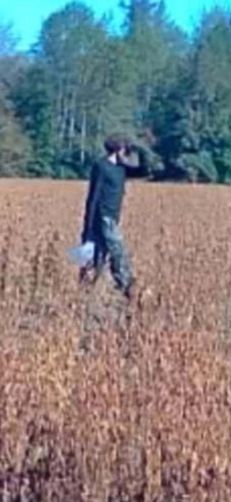 Search for homicide suspect continues at Craven-Beaufort County line