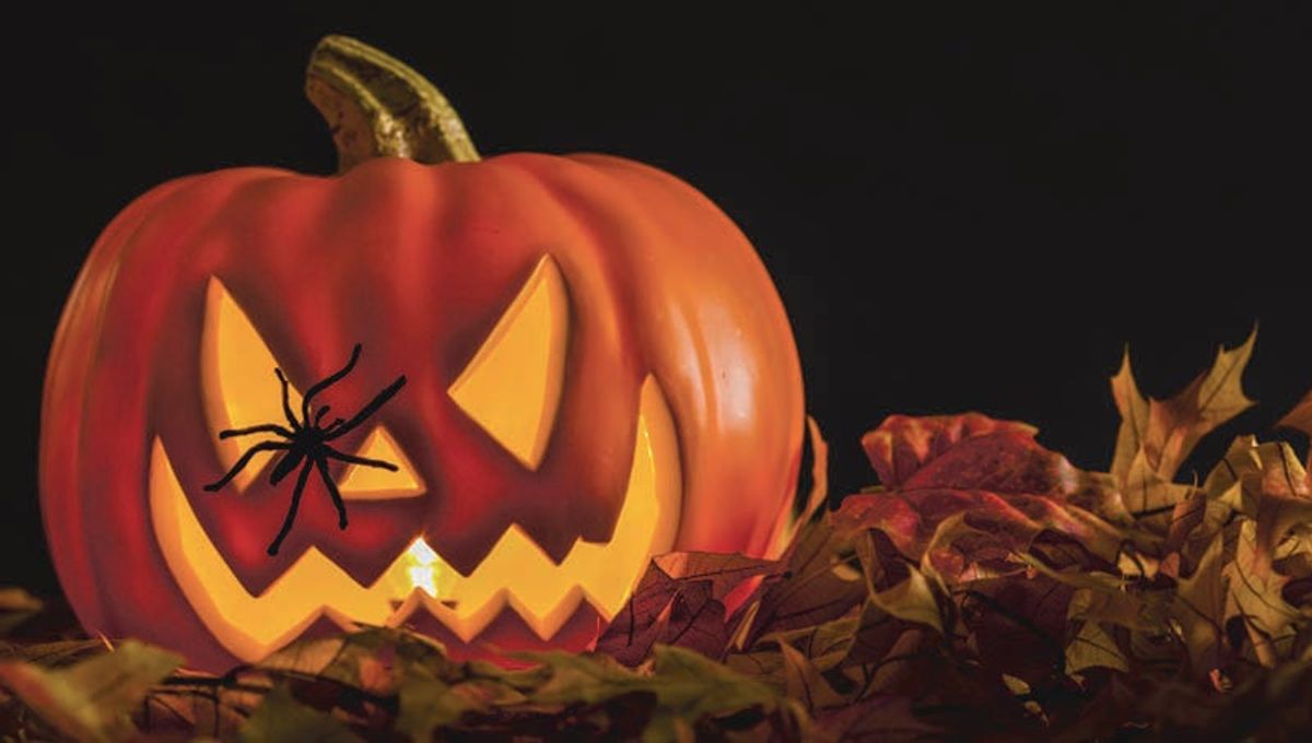 Halloween tradition to raise funds for cancer foundation