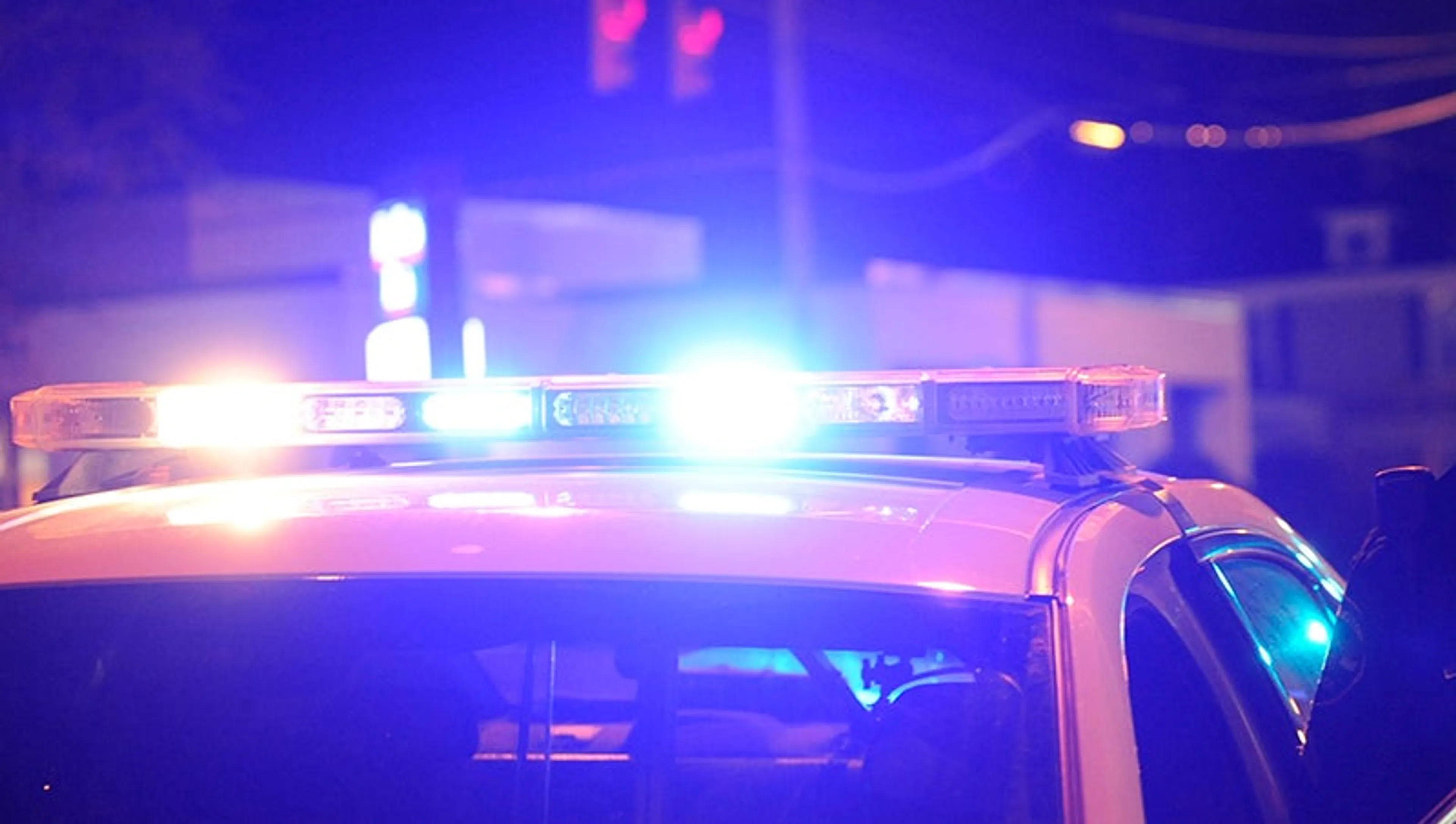 Skeletal remains found in Washington