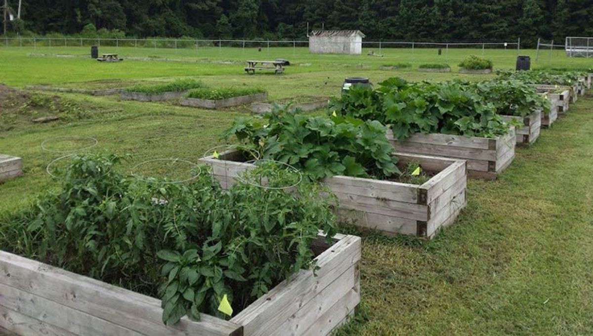 Community garden plots available in Aurora