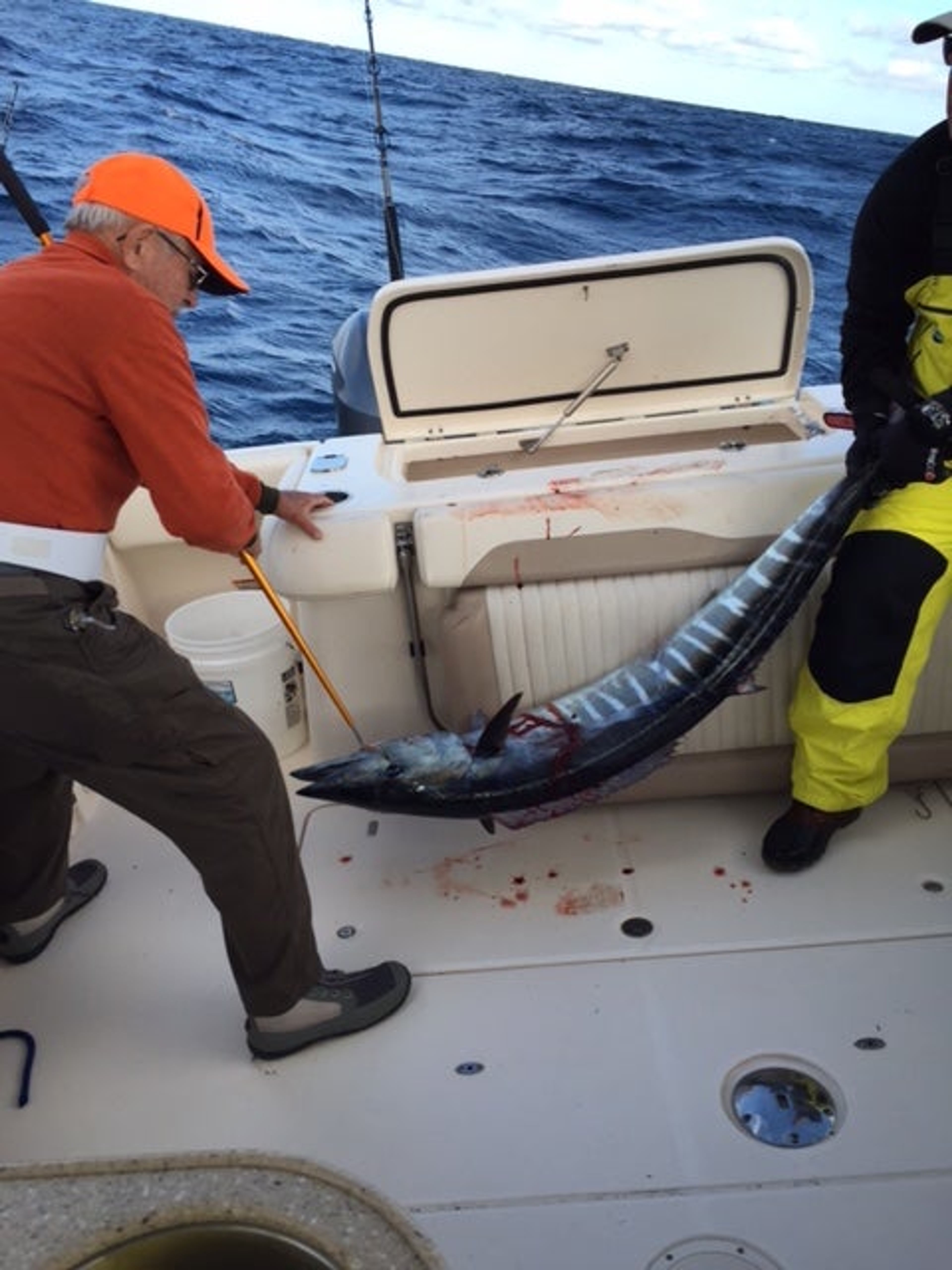 Chasing wahoo under a black cloud