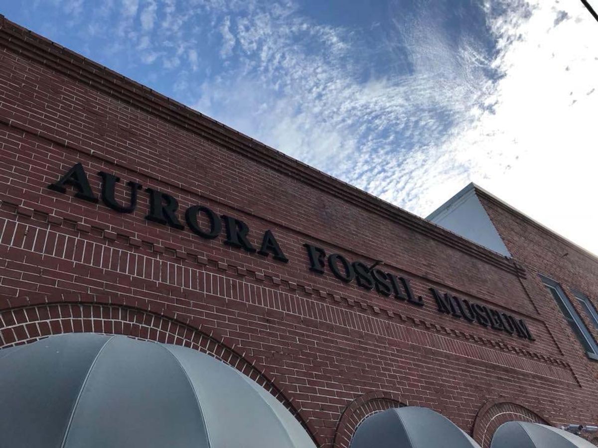 Fossil Museum plans future expansion
