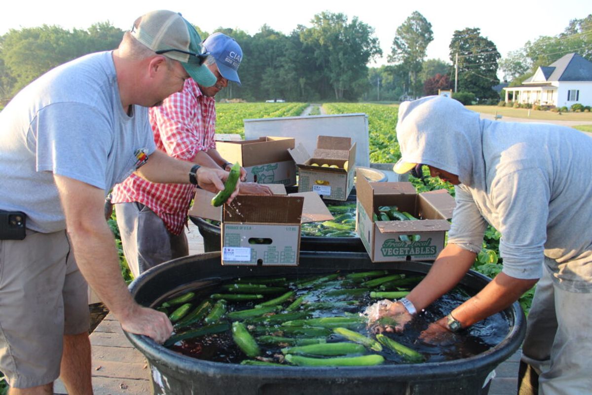 Boykin Family Farms supplies local produce