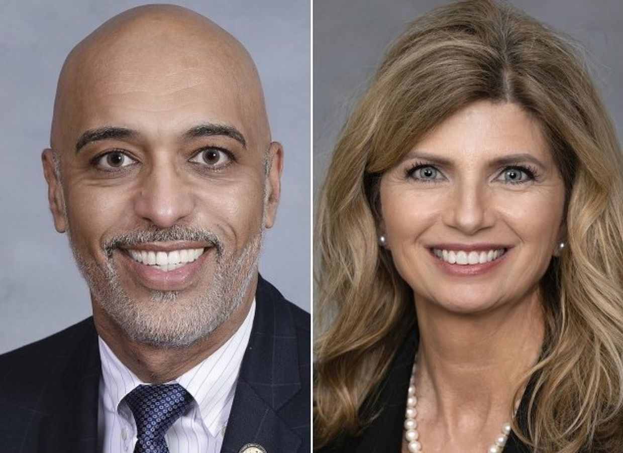 Gailliard, Barnes seek Nash County's state Senate seat