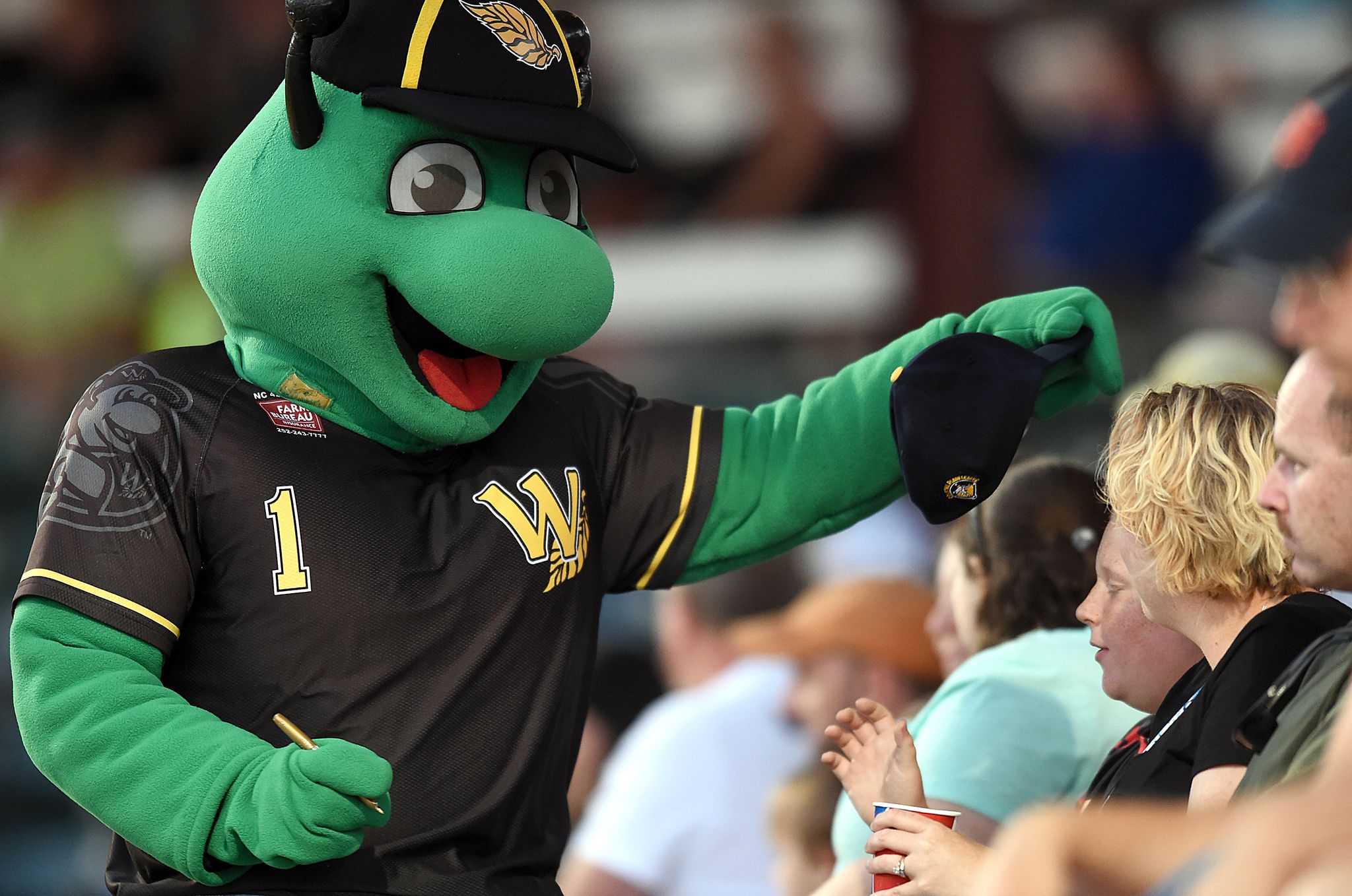 Coastal Plain League losing anchor city, ballpark with Wilson Tobs’ im...