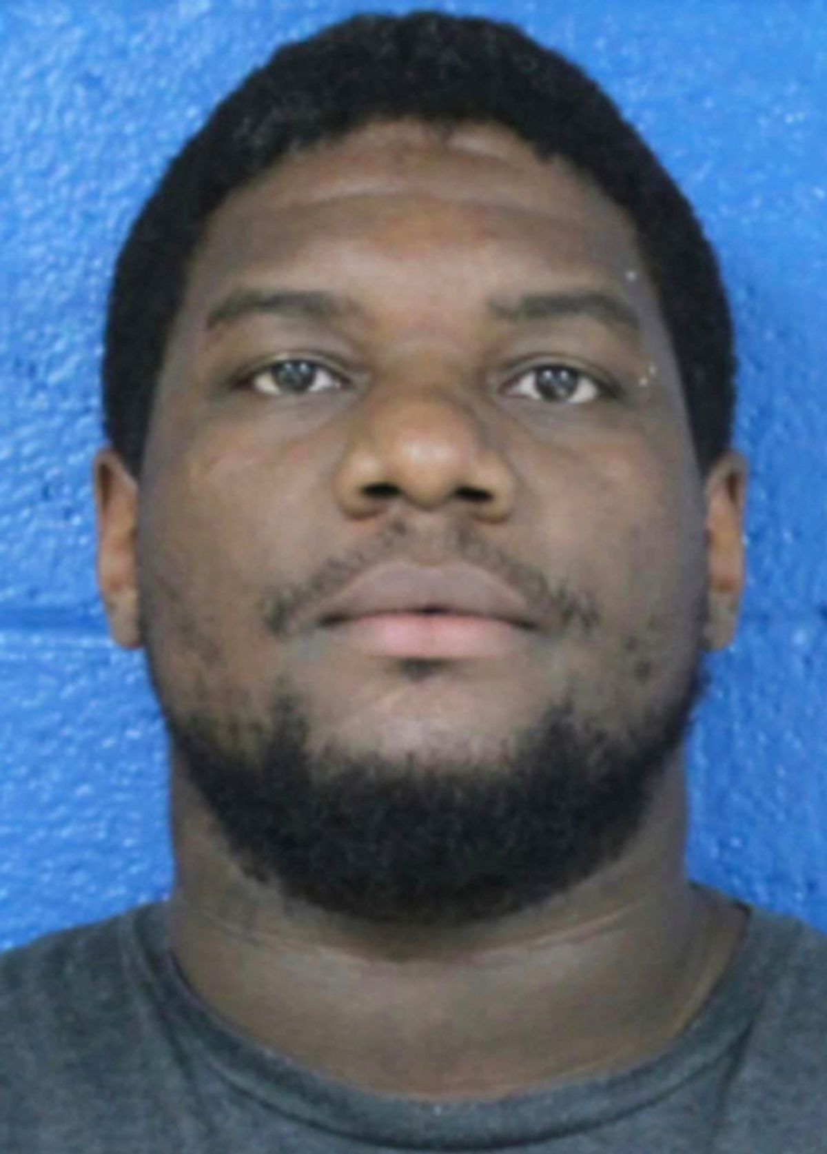 Deputies apprehend man on theft, fraud charges