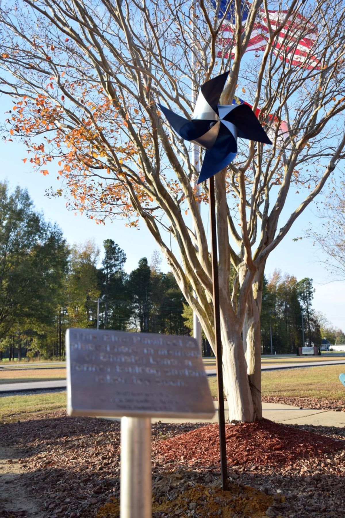 NCC donates pinwheel in Coopers Elementary student’s memory