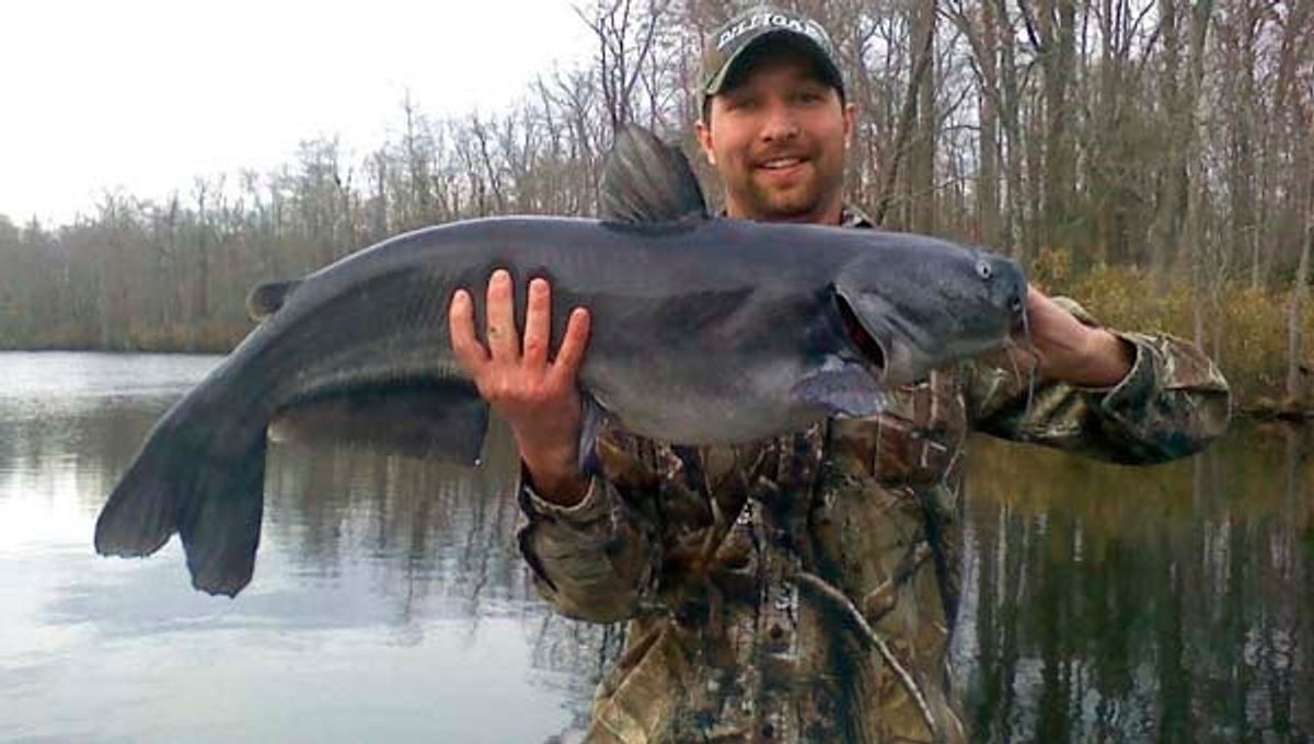 Big deer, fish make headlines