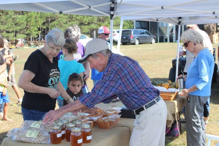 Pumpkins, fun found at Turtle Creek Farm