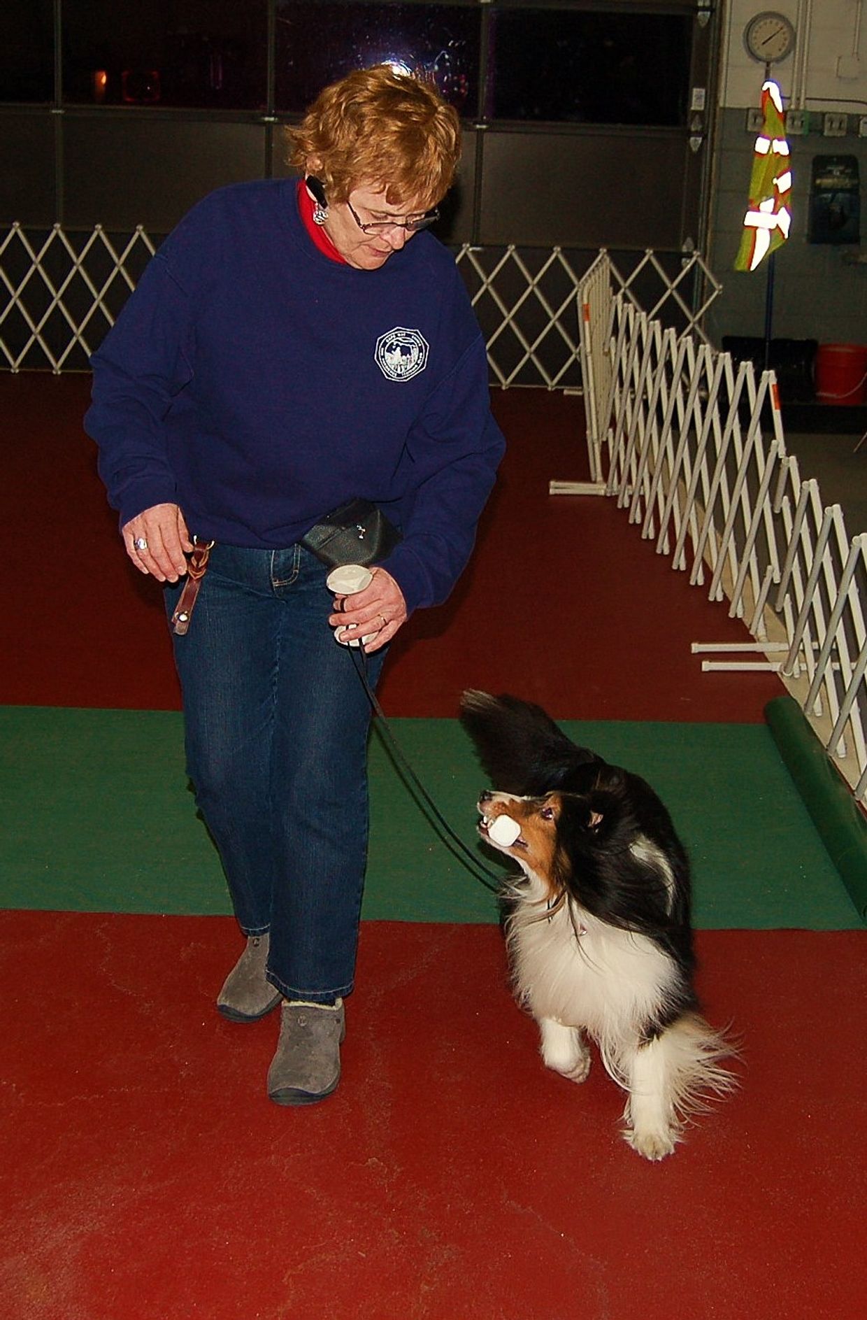 Dog Obedience Club Marks 40th Anniversary, Seeks New Members